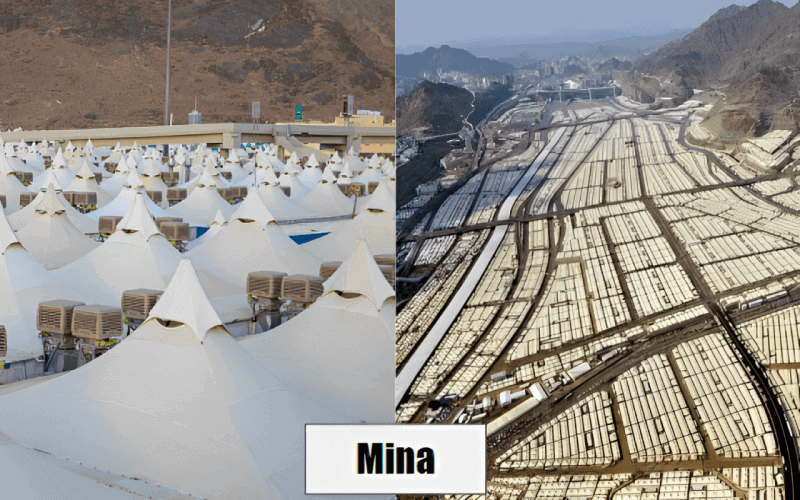 Hajj Rituals | How to Perform Hajj a Step by Step Guide | Pilgrim