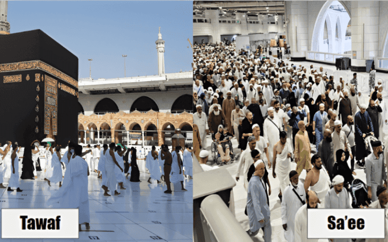 Hajj Rituals | How to Perform Hajj a Step by Step Guide | Pilgrim