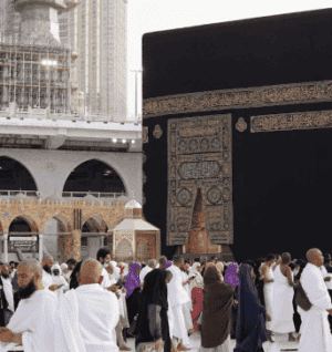 Best Time to Perform Umrah | Best Month/Season To Attend Umrah | Pilgrim